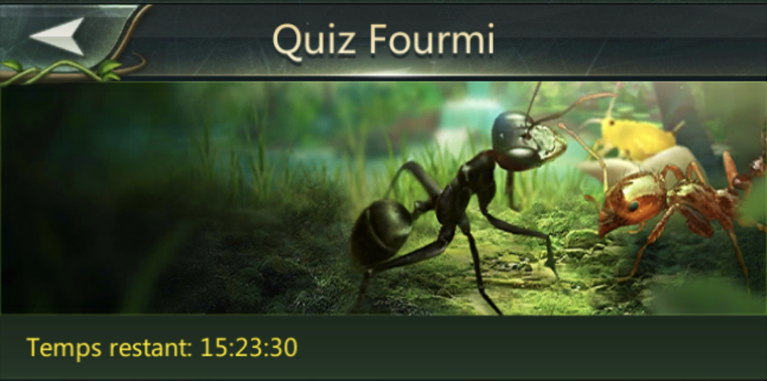 Quiz fourmi – Les Fourmis Rouges